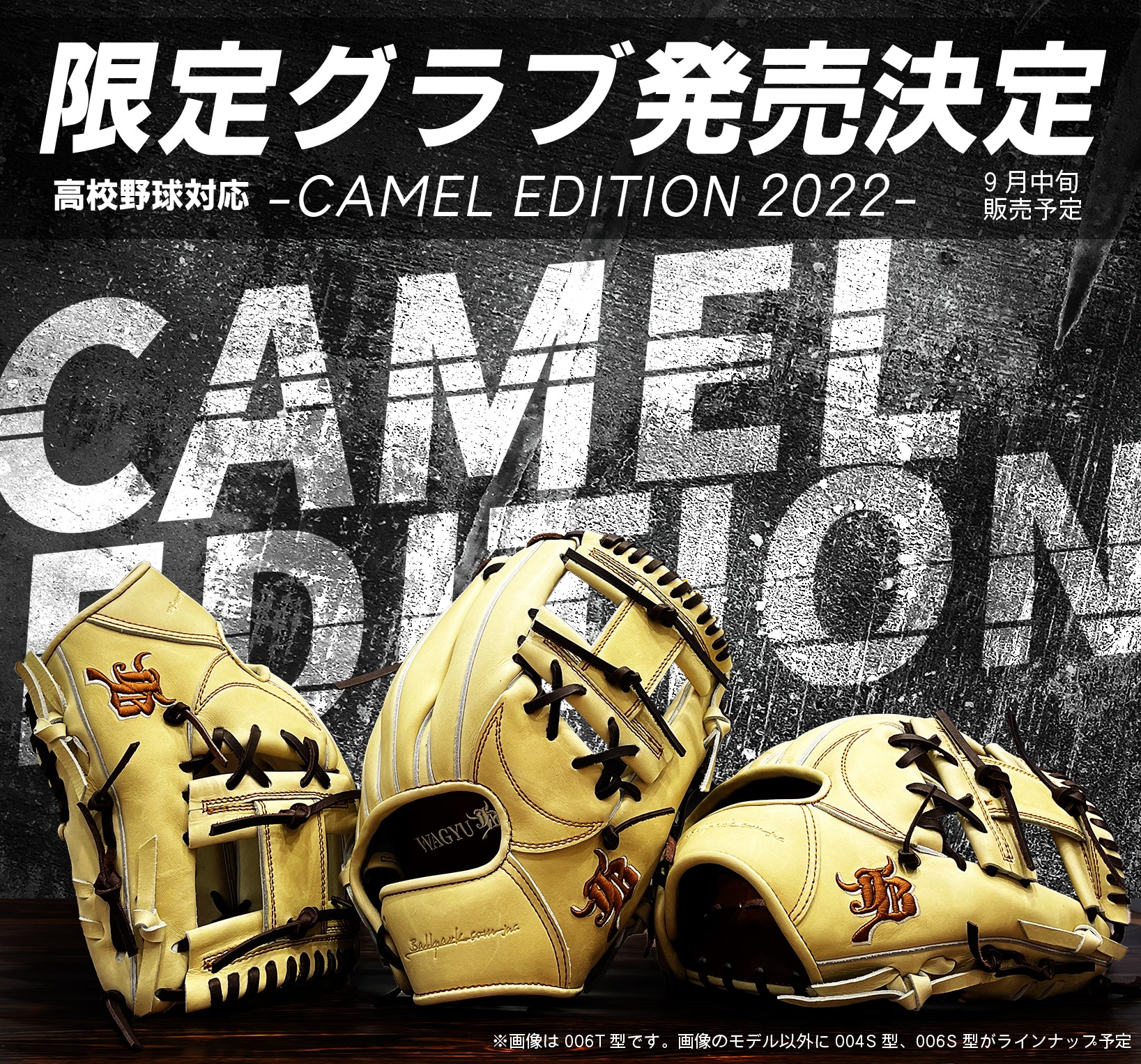 Camel-limited grab-Camel Edition- is sold in mid-September !! – ボールパークドットコム